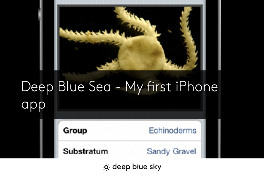 Deep Blue Sea - My first iPhone app, Free Digital Strategy Advice
